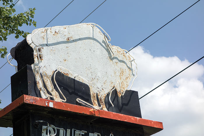 BUFFALOS OF BUFFALO – Part 2 – HYPERCOMMON
